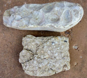 Carmel Formation - Zion National Park (U.S. National Park Service)