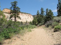 East Rim Trail - Zion National Park (U.S. National Park Service)