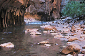 Current Conditions - Zion National Park (U.S. National Park Service)